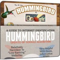 Google'ın yeni Hummingbird algoritmasının SEO'ya etkileri [infografik ...