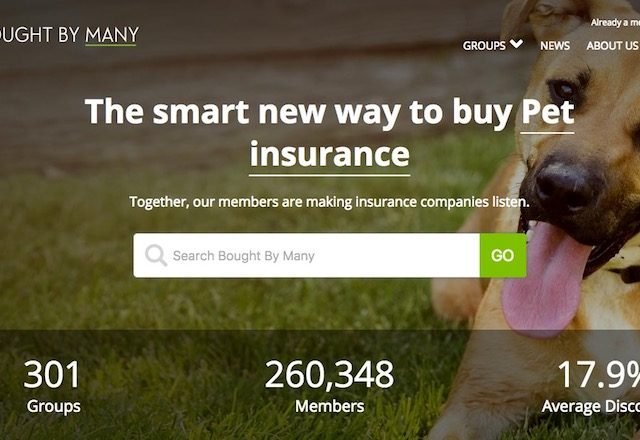 Bi'Sigortacı, Girişimci Sigortası ile ihtiyaca özel sigorta teklifleri ...