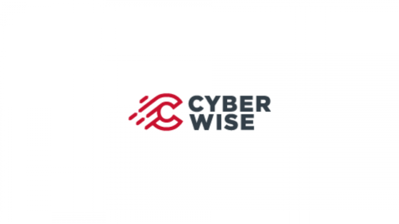 Siber güvenlik şirketi Cyberwise, 2020 verilerini açıkladı - Webrazzi