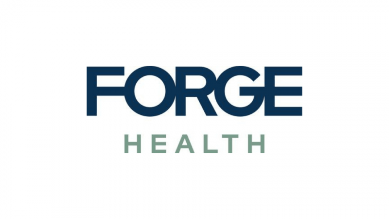 Sağlık girişimi Forge Health, 11 milyon dolar yatırım aldı - Webrazzi